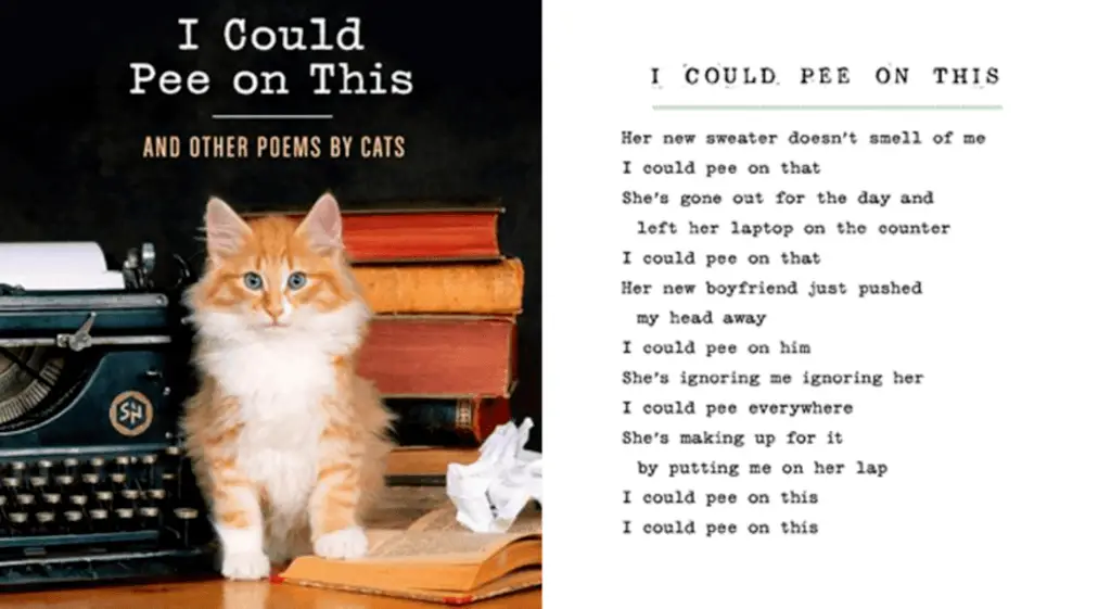 6 Funniest Cat Books Ever Written by a Cat • Purrfectcatbreeds